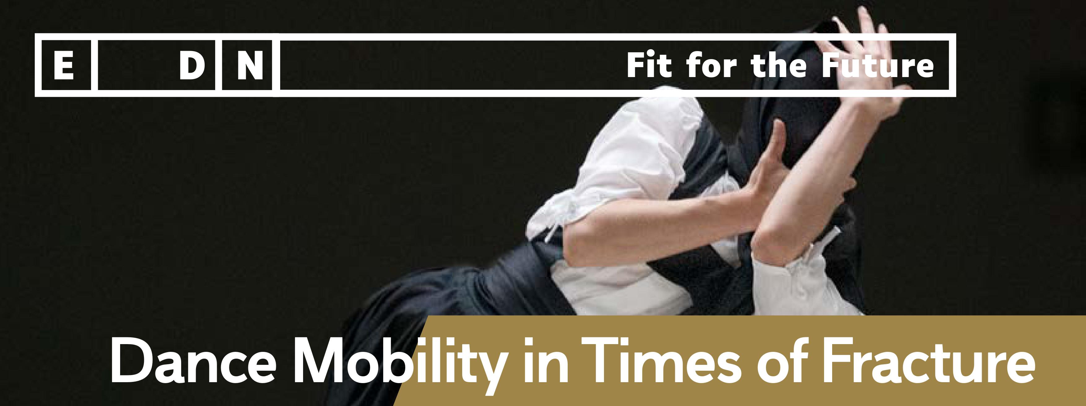 EDN publishes “Dance Mobility in Times of Fractures” Publication | News ...